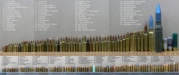 Beginner’s guide to guns – The Prepared