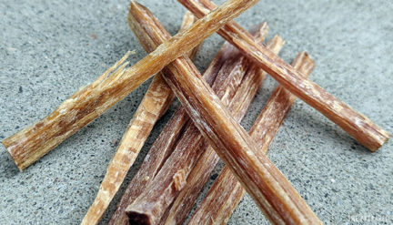 Best tinder for survival fires – The Prepared