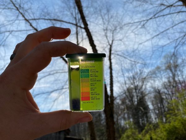 How to use a Rapitest at-home soil test to figure out what your garden ...