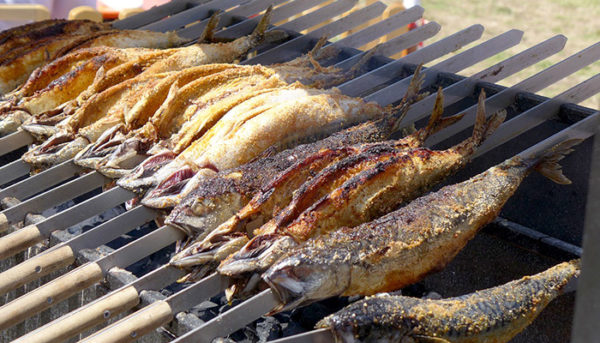 Survival fishing 101 – The Prepared