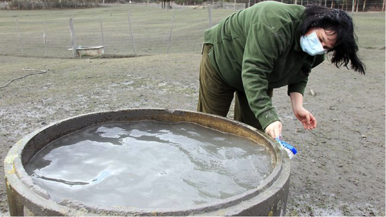 Can you remove volcanic ash from drinking water? – The Prepared