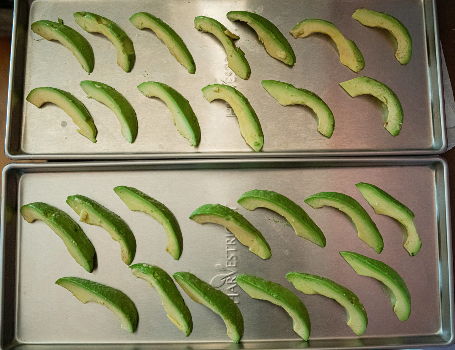 Best Freeze Dryer for Home Use – The Prepared